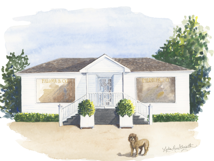 LME x Paloma & Co – Lydia Marie Elizabeth