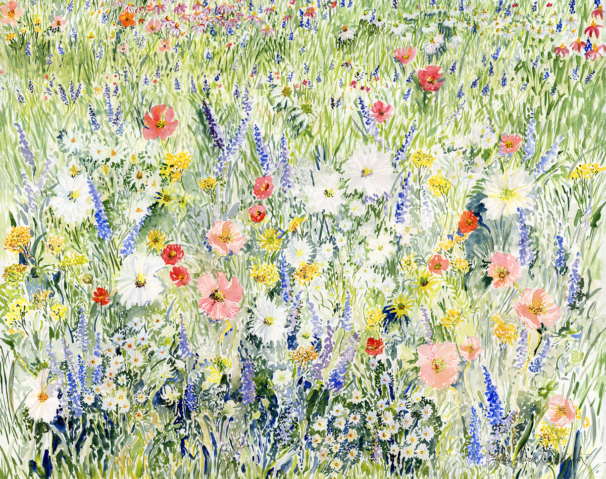 American Wildflowers – Lydia Marie Elizabeth